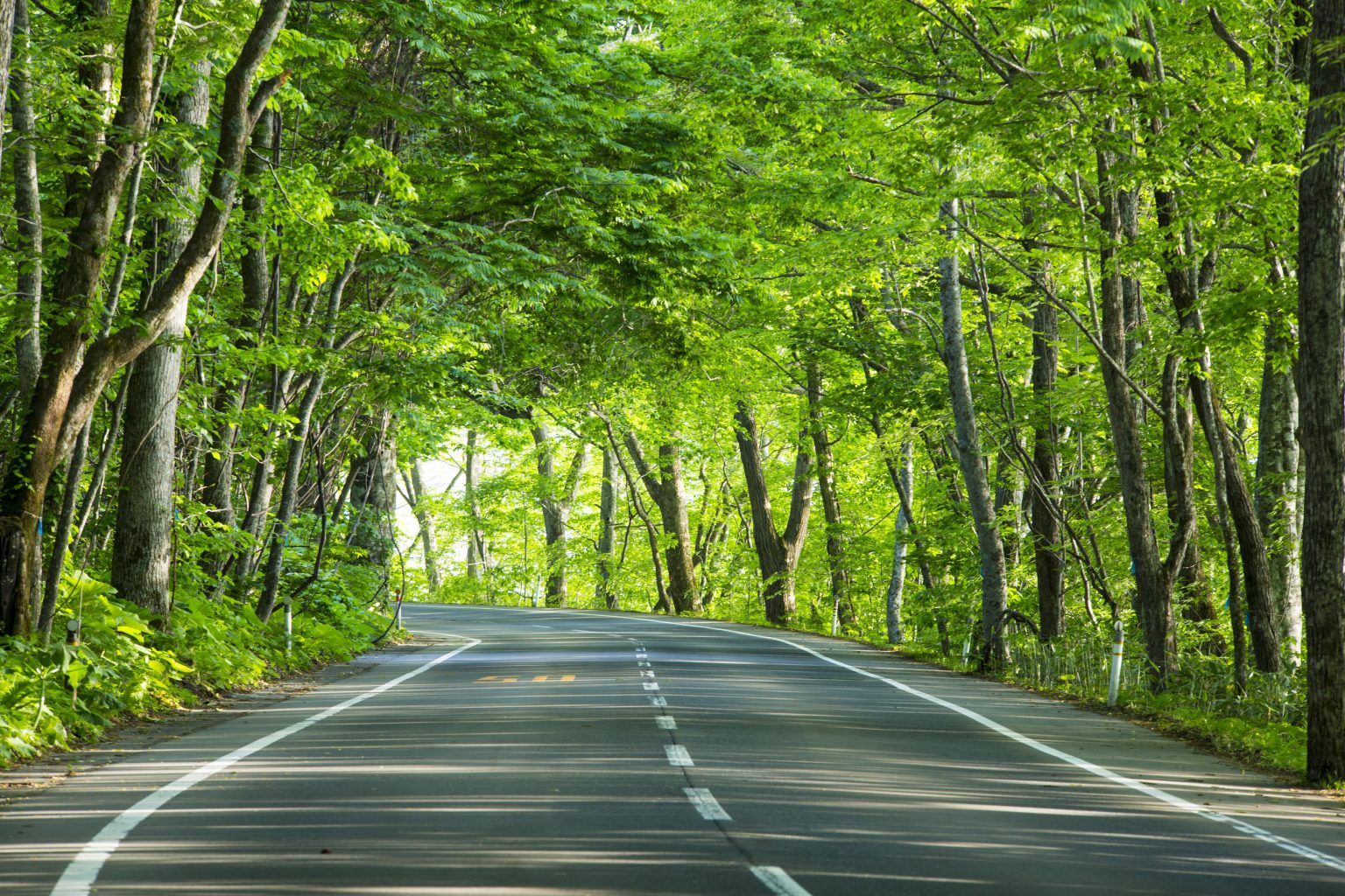 No "quick fix" for local road repairs